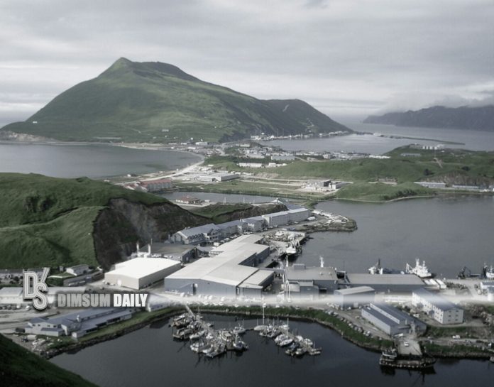 Russian and Chinese naval flotilla conducts unprecedented patrol near ...