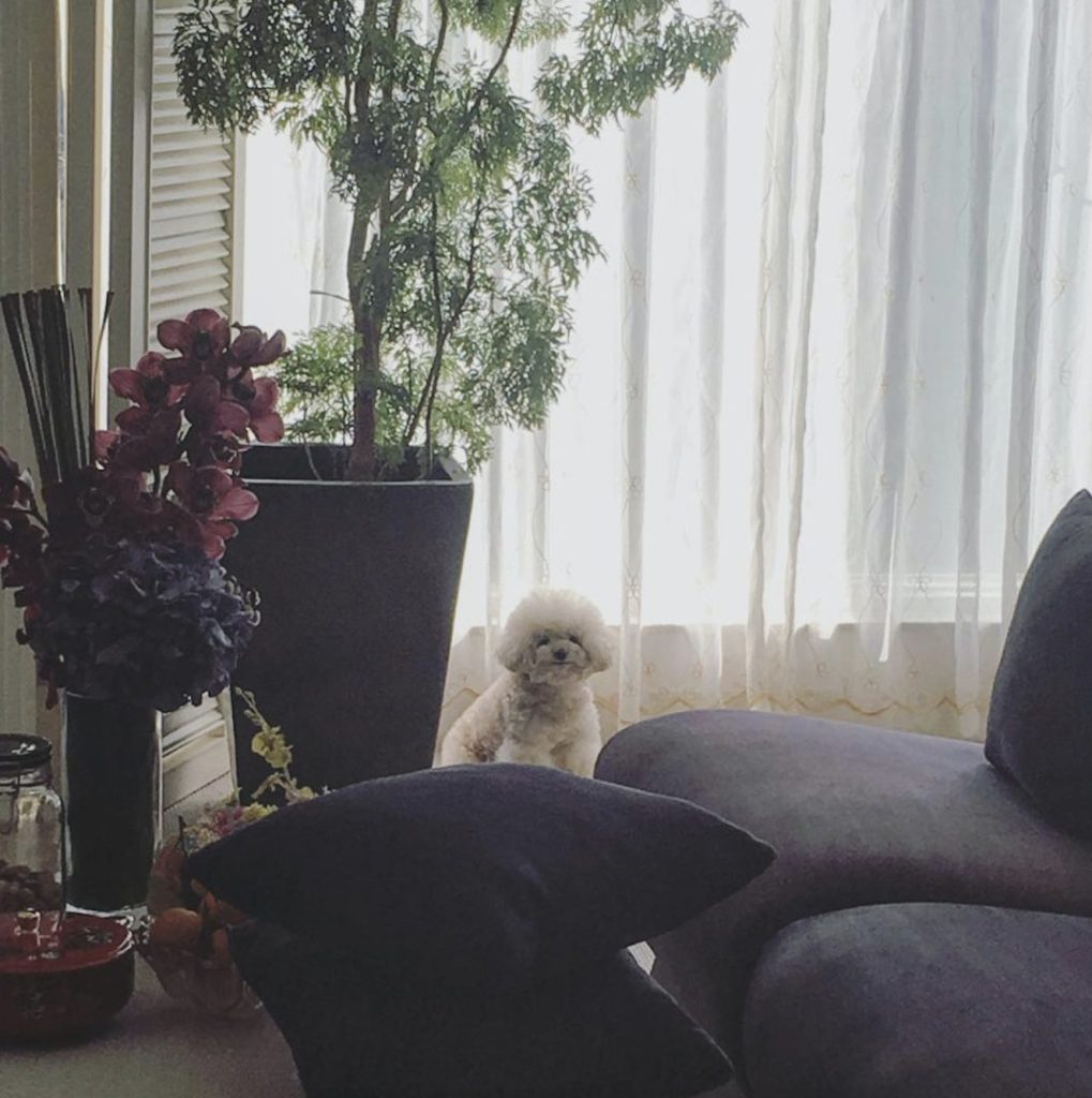 HK singer Stephy Tang reveals breathtaking 4,000-square-foot mansion in Tai Po with unobstructed ...