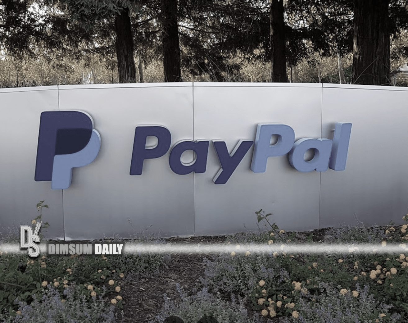 PayPal enters the cryptocurrency market with its own stablecoin, PYUSD - Dimsum Daily