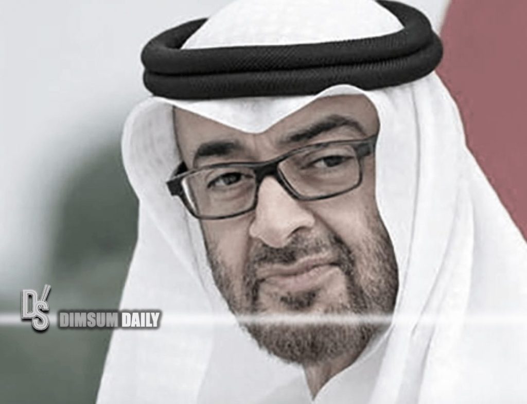 UAE President and U.S. National Security Advisor discuss bilateral relations and regional ...