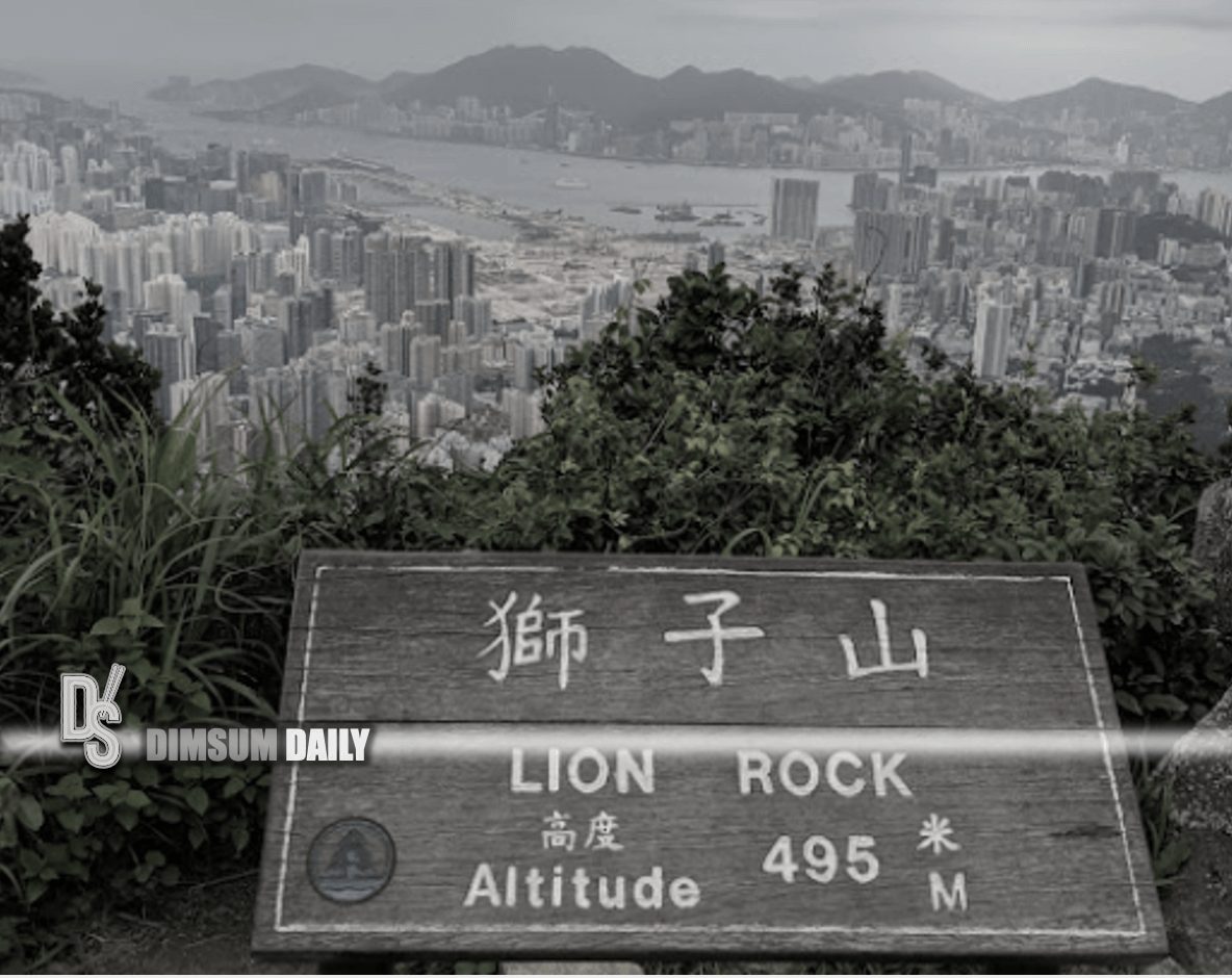 Mysterious disappearance in Lion Rock Country Park triggers extensive ...
