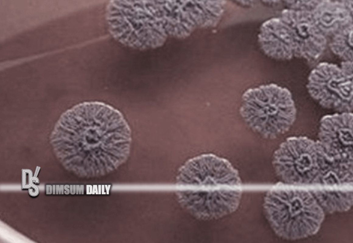 New case of melioidosis involving 55-year-old male resident in Wan Chai ...