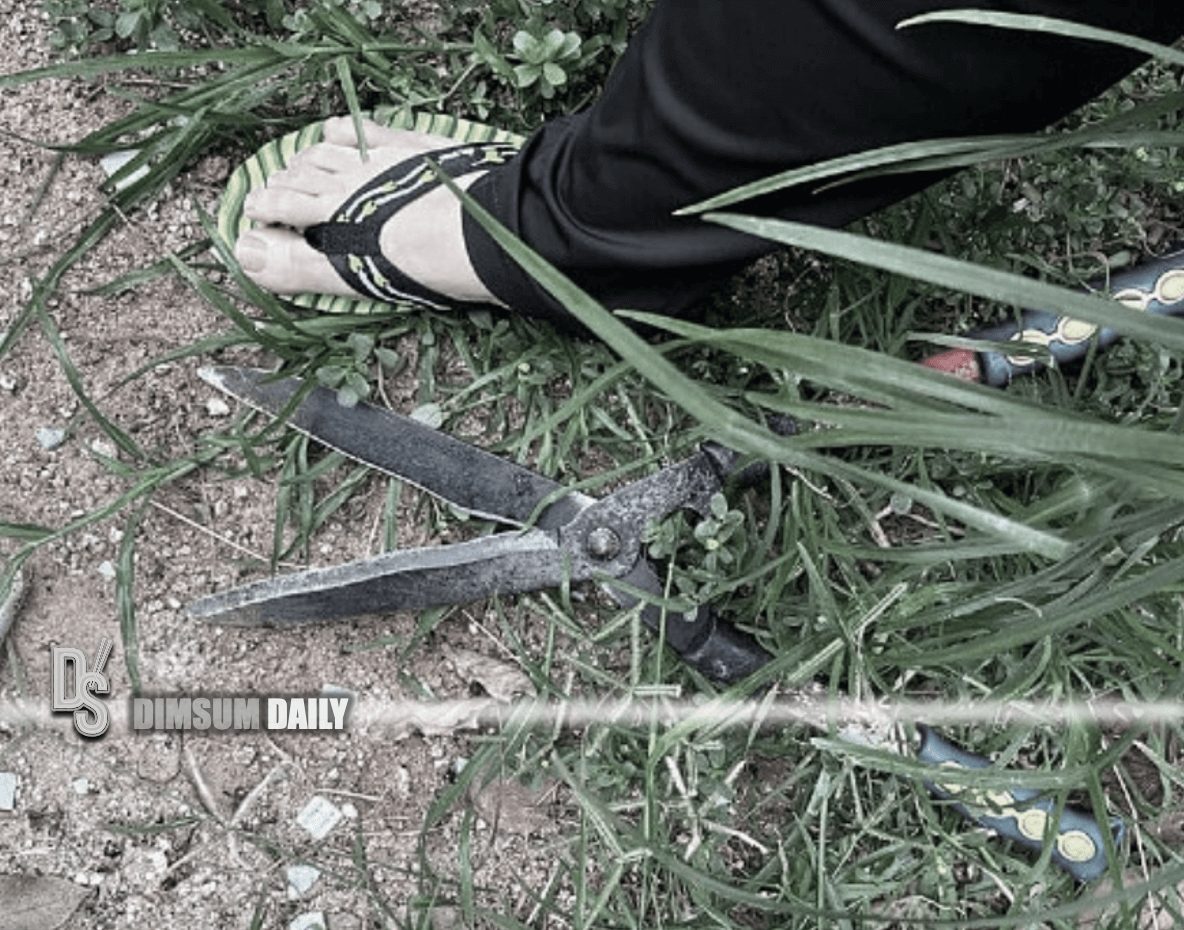 Woman in 60s narrowly escapes scissors falling from building in Tuen ...