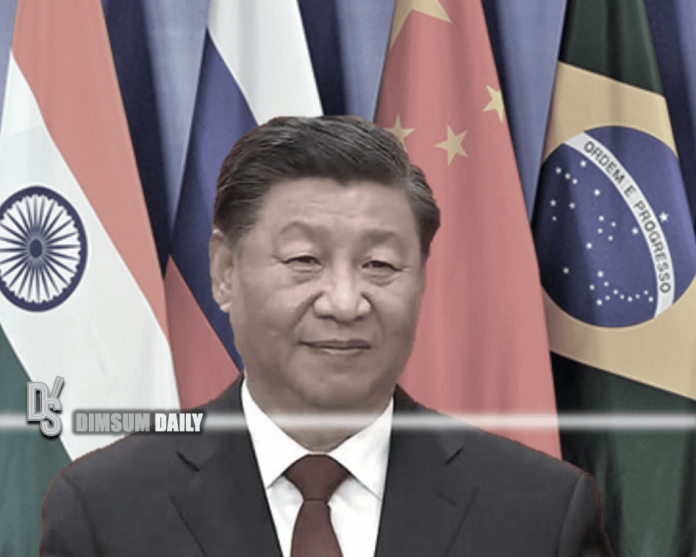 Chinese President Xi Jinping arrives in Johannesburg for BRICS Summit ...