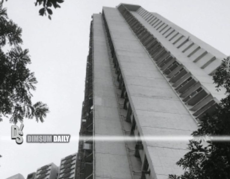 Son assaults mother and attempts suicide in Tuen Mun residence - Dimsum ...