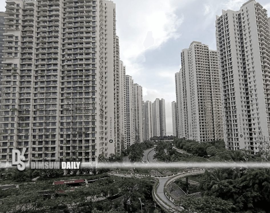 Uncertainty looms over Johor's Mega Forest City project in Malaysia as ...