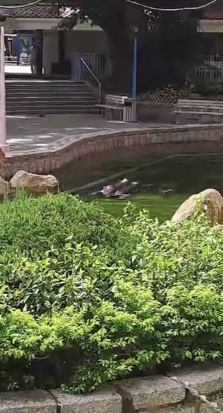 Screenshot-2023-08-26-at-1.02.00-AM - Dimsum Daily