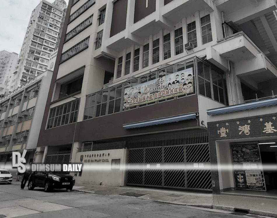 4m python captured near school in Sai Wan Ho after woman's tip - Dimsum ...