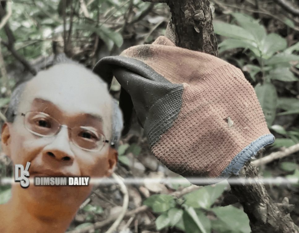 Search teams discover suspicious glove belonging to missing 57-year-old ...