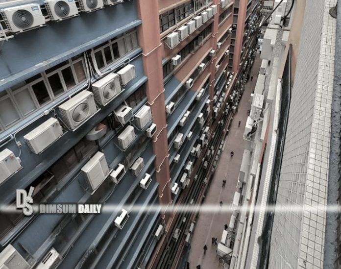 Lands Department elaborates on action against lease breaches in Camel ...