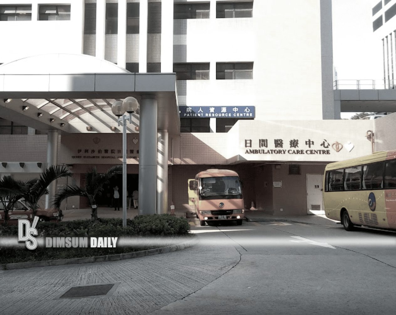 Male patient identified as Candida auris carrier at Queen Elizabeth ...