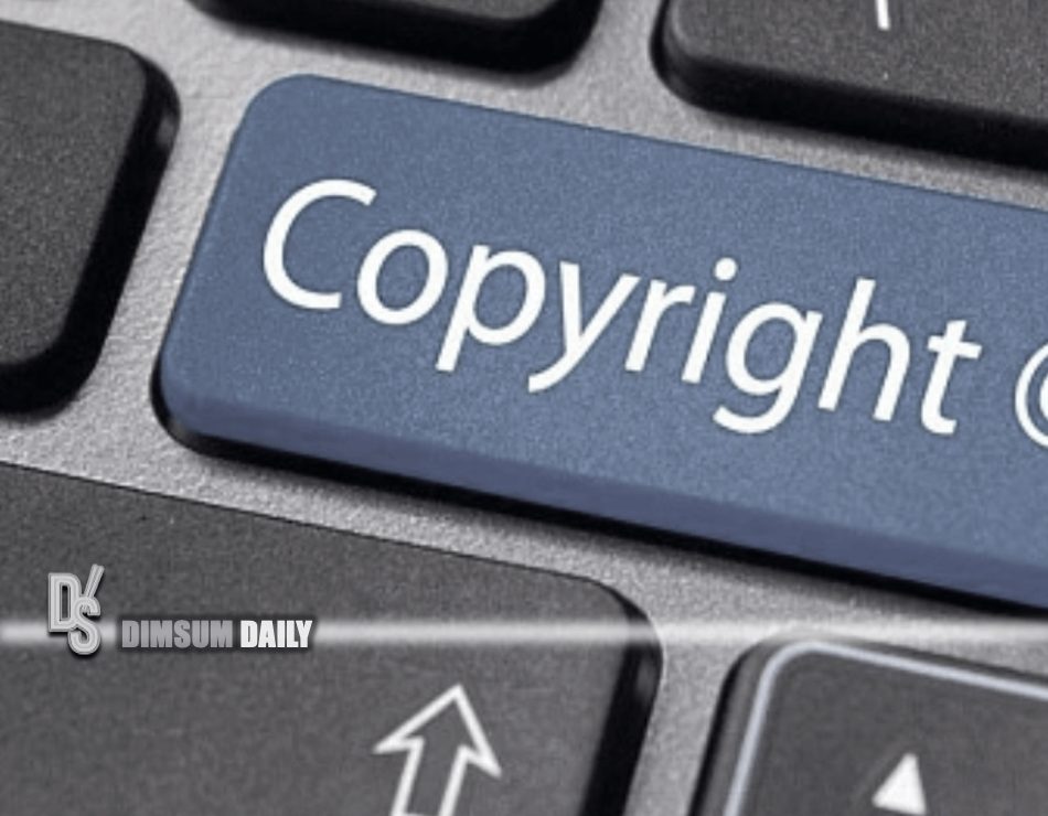 China launches nationwide campaign to combat online copyright ...