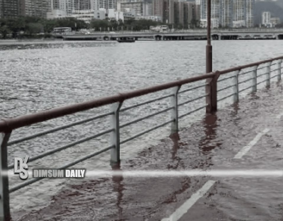 Surging water levels at Shing Mun River prompt closure of flood-prone ...