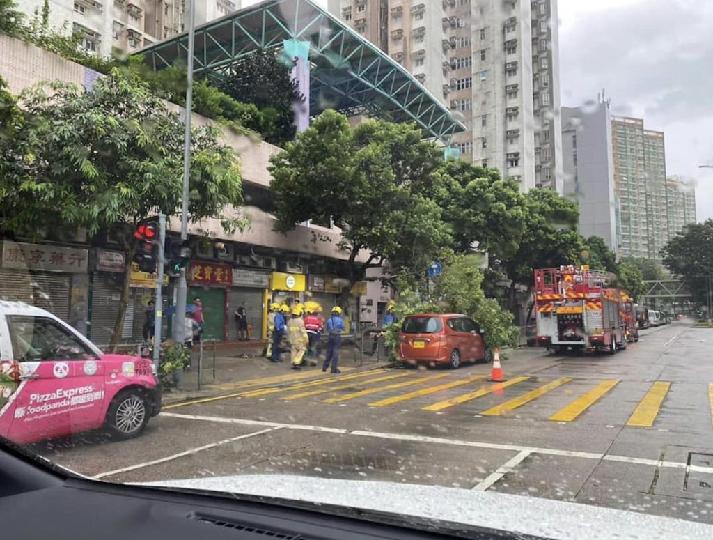 Dedicated firefighter faints during tree clearance on the Peak amidst ...