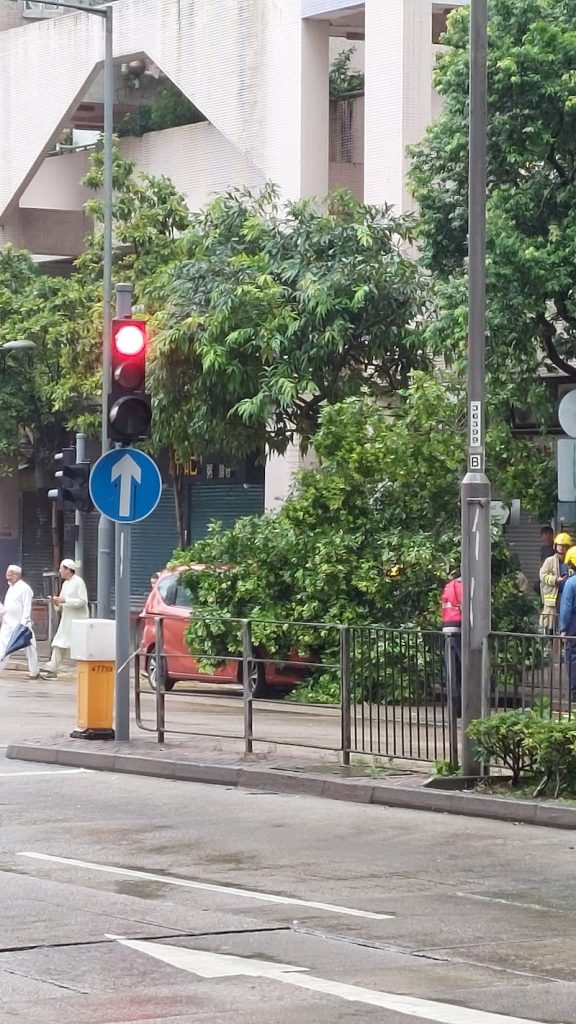 Dedicated firefighter faints during tree clearance on the Peak amidst ...