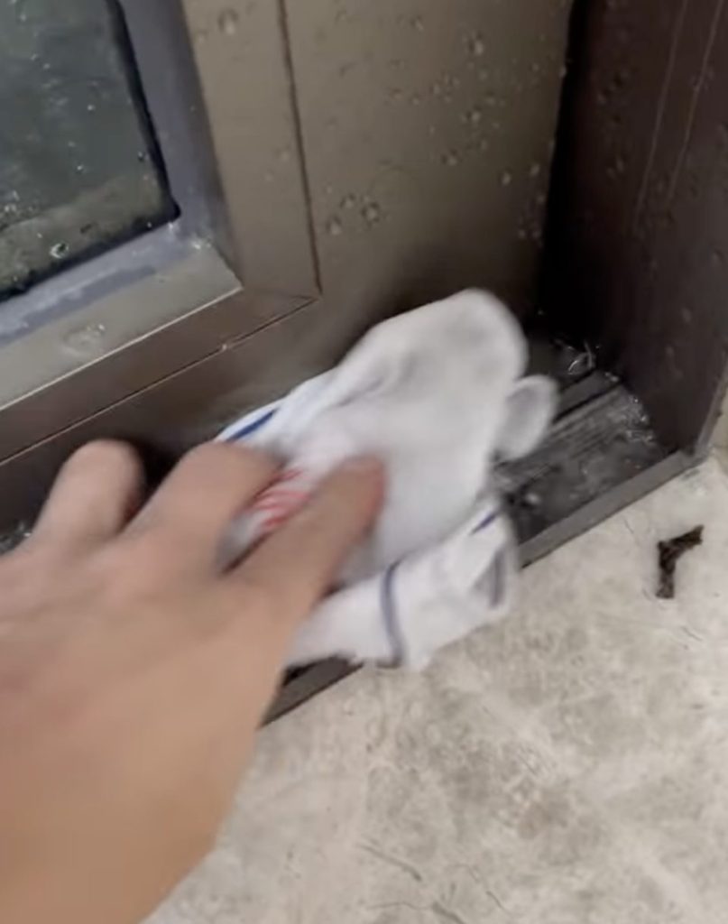 Local actor Carlos Chan and singer Shiga Lin's home transforms into an ...