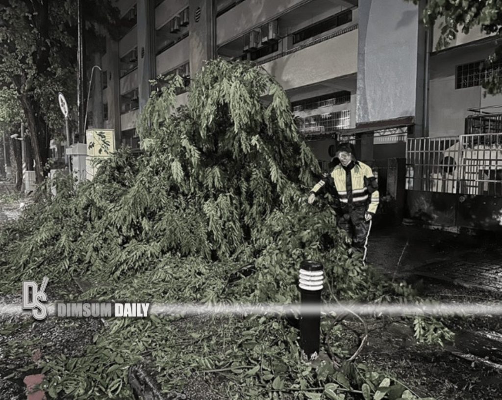 Typhoon Haikui strikes Taiwan, causing over a thousand incidents, 1 ...