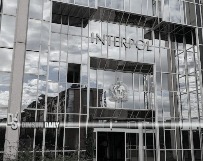Interpol faces existential crisis amid rising global tensions - Dimsum ...