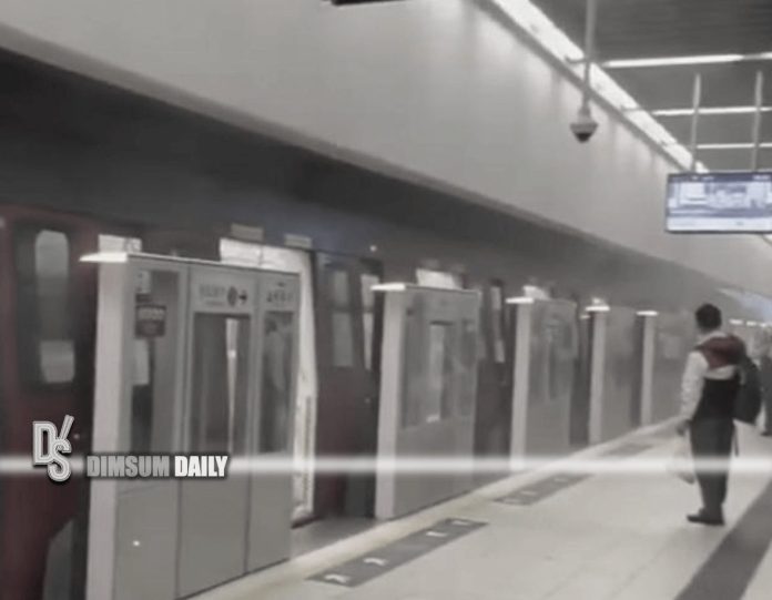 Smoke-filled train incident at MTR Che Kung Temple Station prompts ...