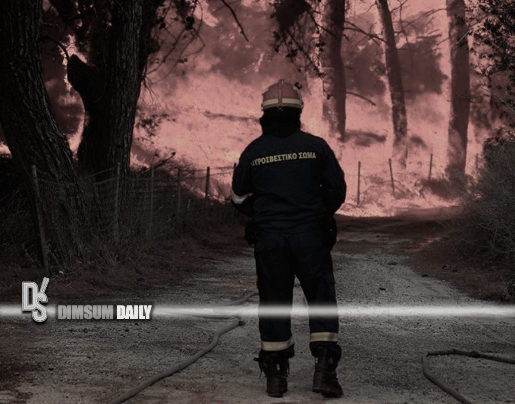 Deadly wildfires ravage Northern Sicily in Italy, two deaths reported ...