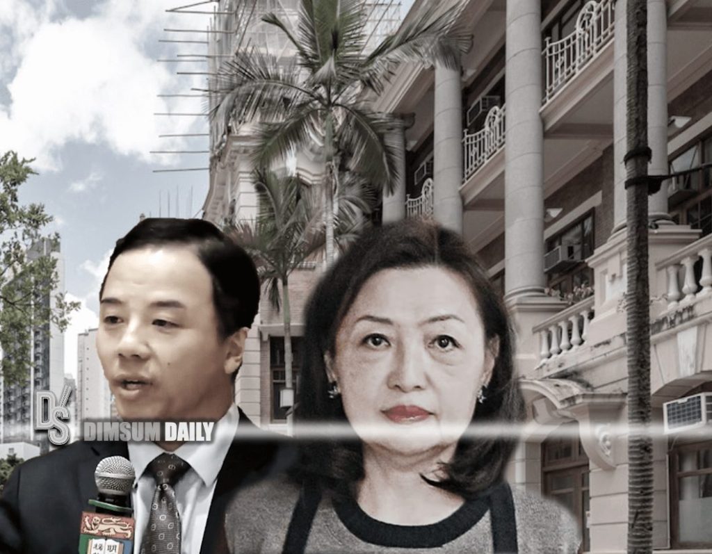 HKU Council Chairman Priscilla Wong Pui-sze says special meeting ...