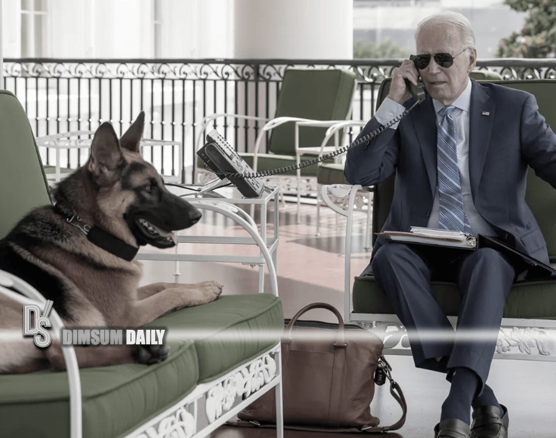 President Biden's dog, Commander, removed from White House amidst ...