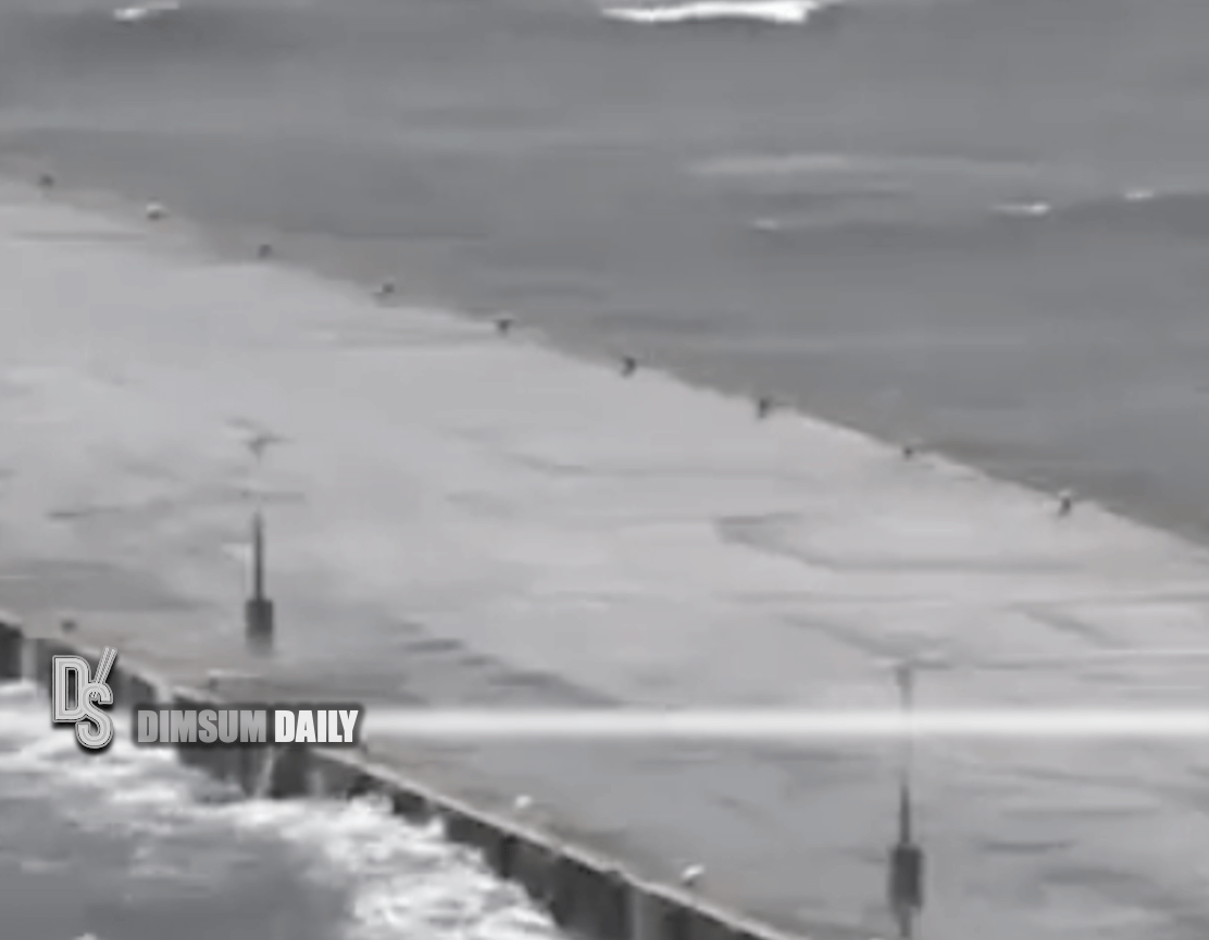 Tsunami advisories issued by Japan Meteorological Agency following earthquakes - Dimsum Daily