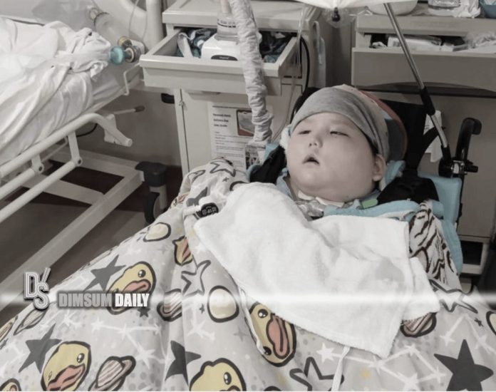 Father of 8-year-old girl in vegetative state after medical accident ...