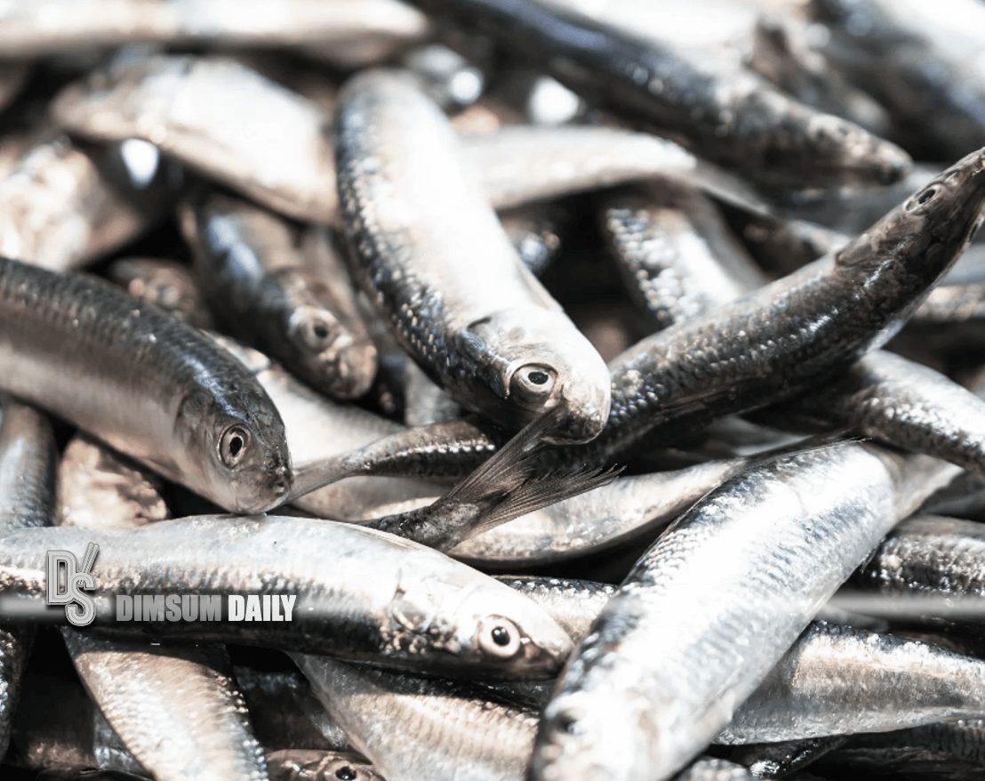 All 8,161 imported food samples from Japan pass stringent radiological ...