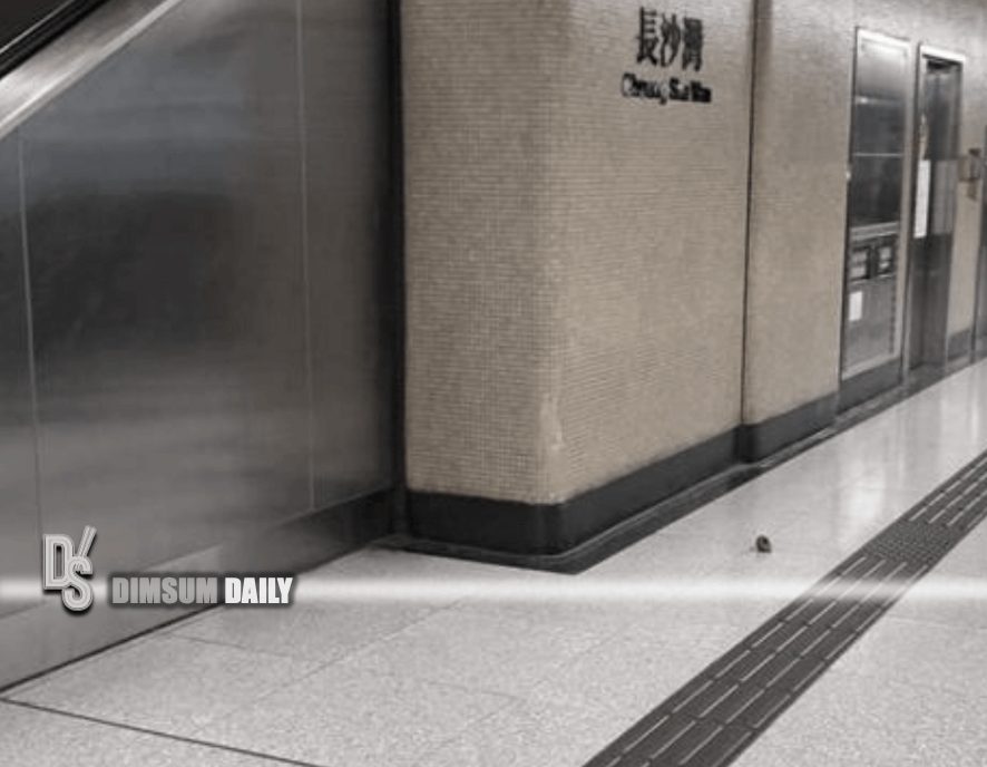 Disgusting act uncovered at MTR Cheung Sha Wan Station platform as faeces left unattended ...