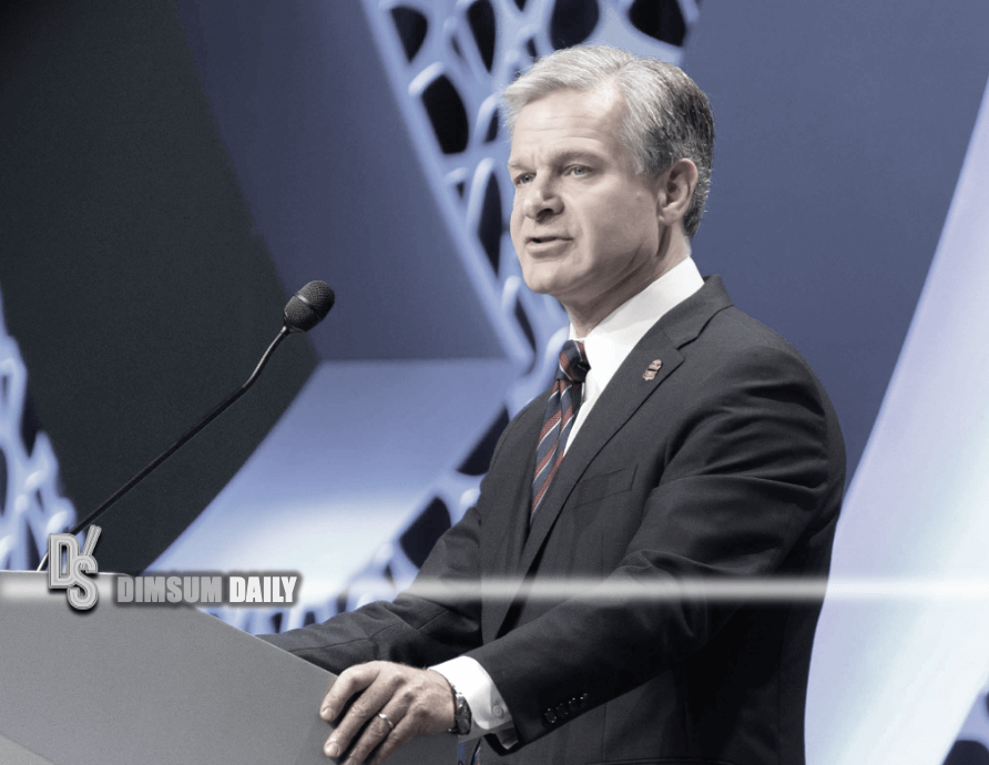 FBI Director Christopher Wray highlights surge in domestic threats amid ...