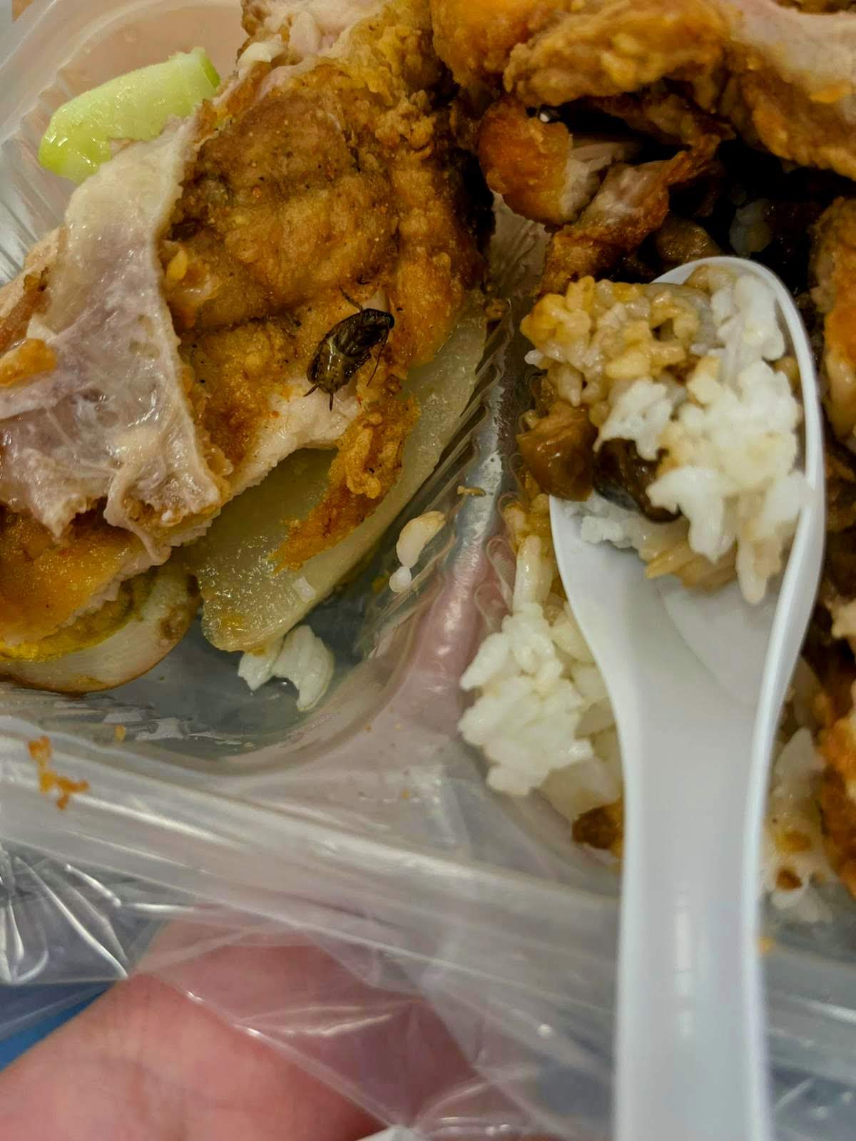 IMG-20231020-WA00012 - Dimsum Daily