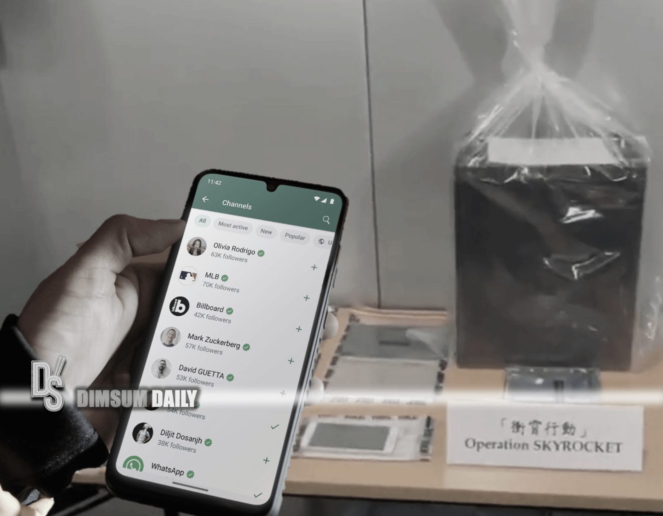 Operation Skyrocket3 - Dimsum Daily