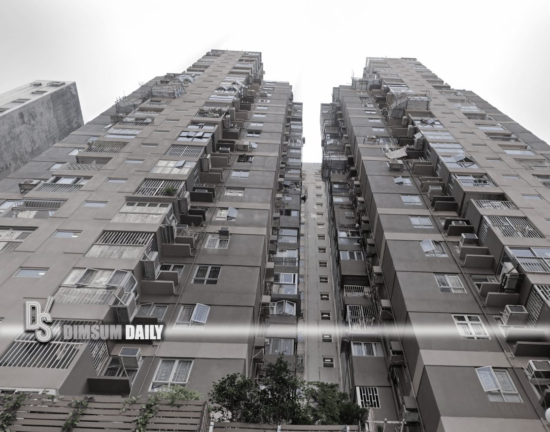 Persian cat suspected to have fallen from a height from top of ...