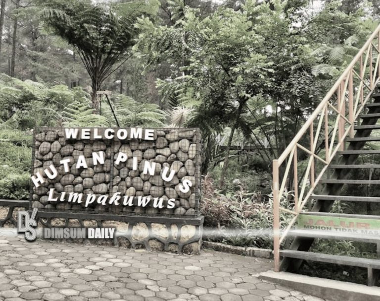 Tourist fatally falls as glass-bottomed bridge collapses in Indonesia ...