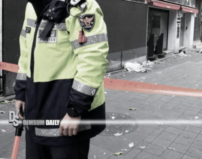 Elderly man stabs two police officers outside South Korean presidential ...
