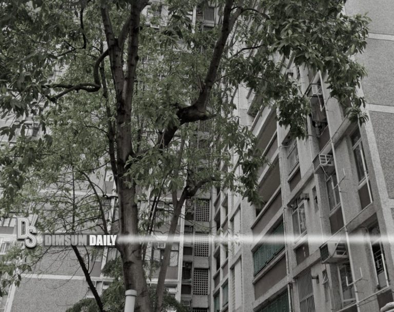 Housing Authority sets best rent levels for a total of 13,604 flats in ...