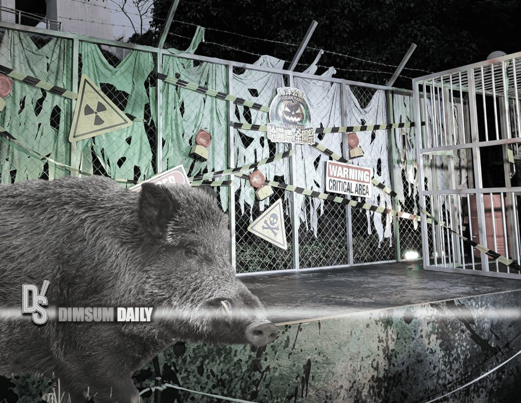 Wild boars make surprise appearance at Ocean Park's Halloween event ...