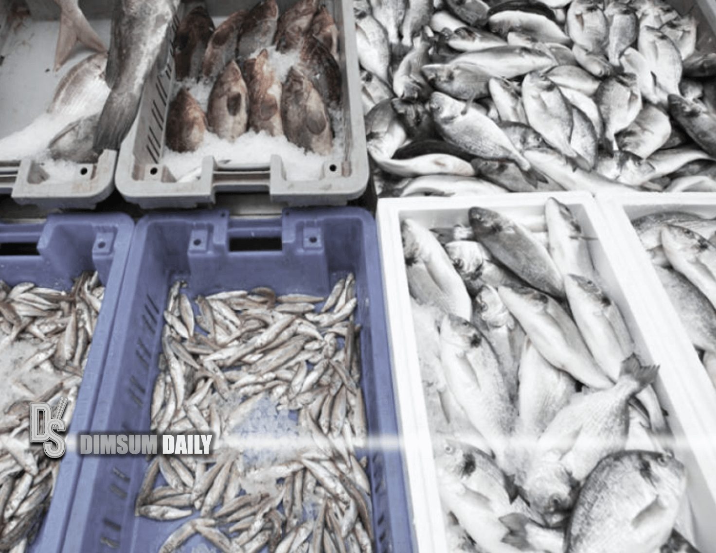 Recent radiological tests on 133 Japanese food samples in Hong Kong ...