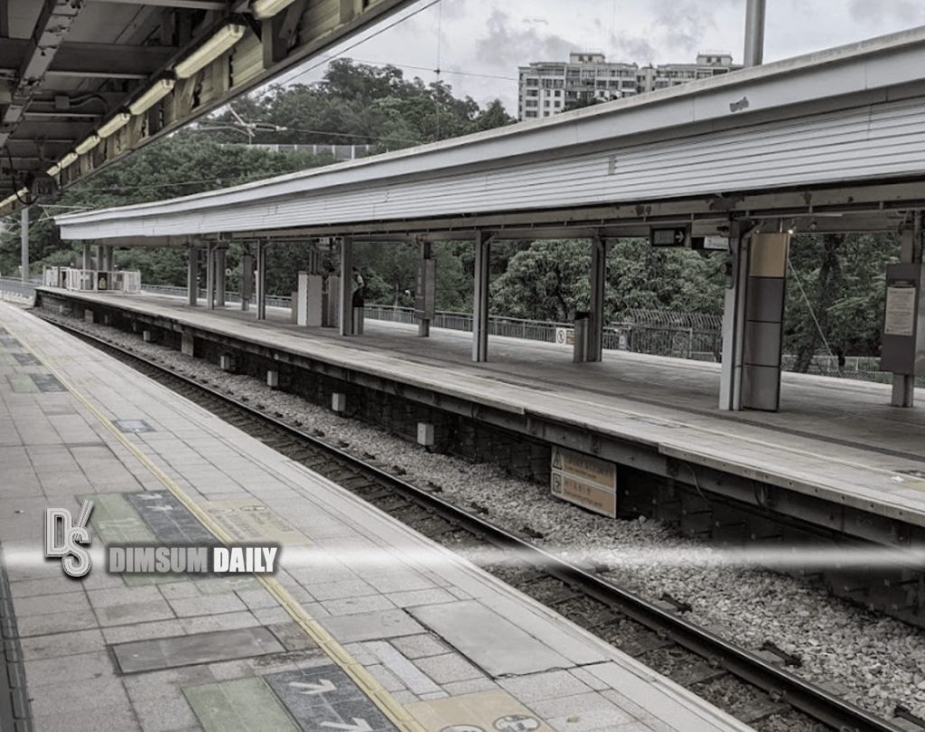 Signal failure near MTR Tai Po Market Station causes delays on East ...
