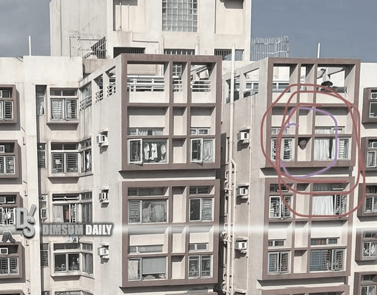 Prospective buyer of Sun Tuen Mun Centre spots large beehive on ...