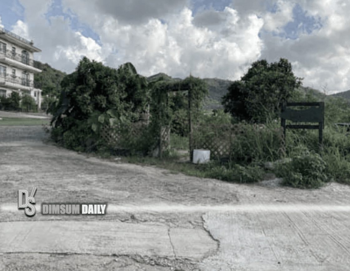 Police intercept four South Asian men on Lantau Island in suspected ...