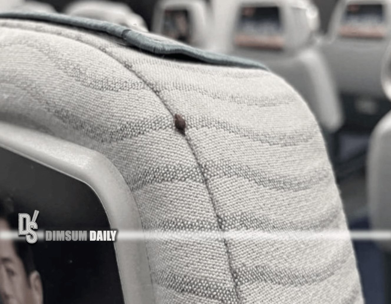 MTR Corporation finds no evidence of bed bugs on Airport Express train ...