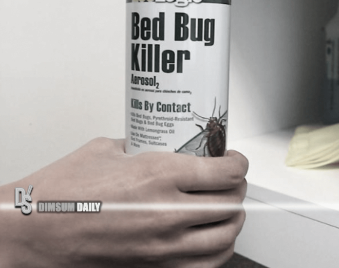 Fear of bedbug infestations spurs surge in insecticide purchases and ...