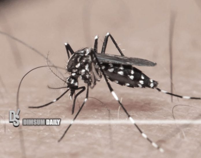 Hong Kong reports imported case of Zika virus infection involving 58 ...
