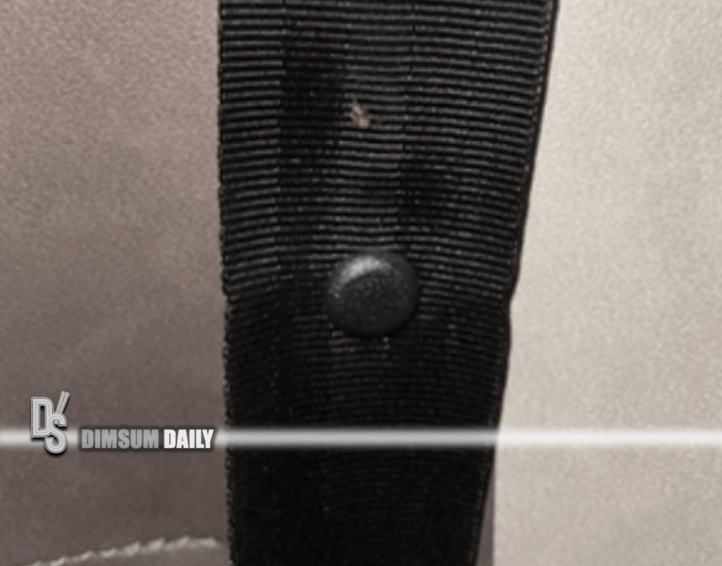 Bed bug allegedly spotted on KMB bus originating from Lai Chi Kok depot ...