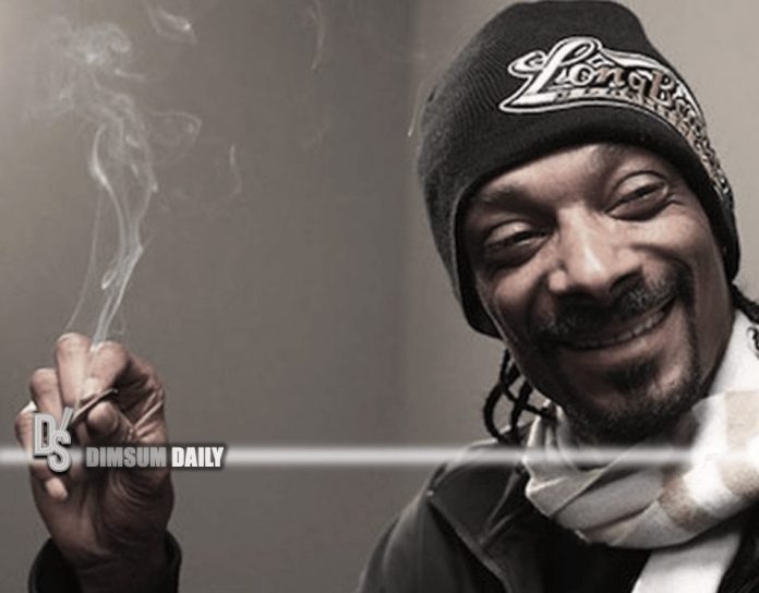 Snoop Dogg announces decision to quit smoking, leaves fans speculating ...