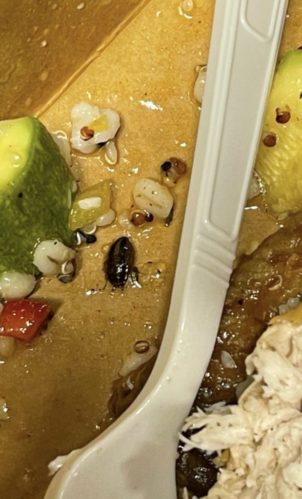 Cockroach found in takeaway lunch at Food Le Parc, Central's popular ...