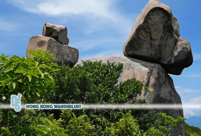 Wanderlust Hiking Guide: Poodle Stone on Lamma Island becomes latest ...