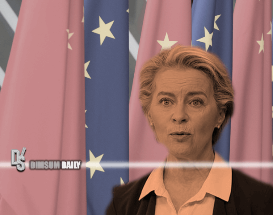 Leaders should reject meddling at pivotal China-EU summit - Dimsum Daily